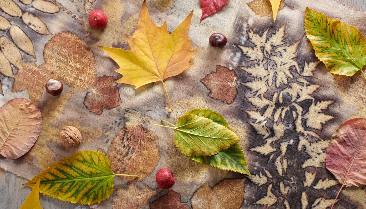 Begini 5 Langkah Cara Membuat Batik Ecoprint yang Unik!