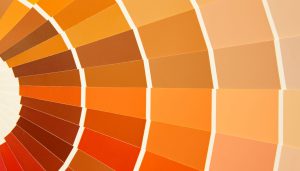 24 Macam-Macam Warna Orange yang Wajib Diketahui, Cek Yuk!